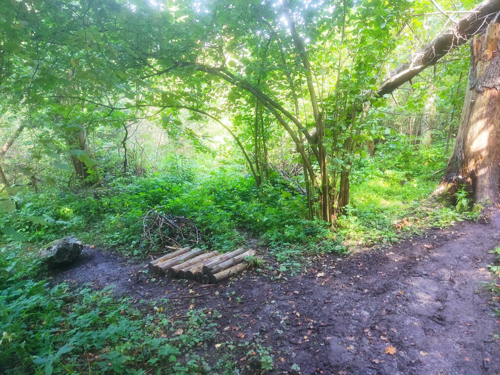 Piknik alanı Брёвна и камень, Moskova ve Moskovskaya oblastı, foto