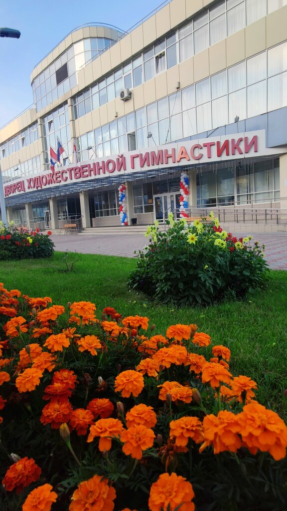 Spor okulları Tsentr podgotovki olimpiyskogo rezerva po khudozhestvennoy gimnastike, Omsk, foto