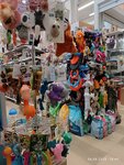 Зоотовары (ulitsa Mira No:7, gorodskoy posyolok imeni Morozova), petshop  Saint‑Petersburg ve Leningradskaya oblastından