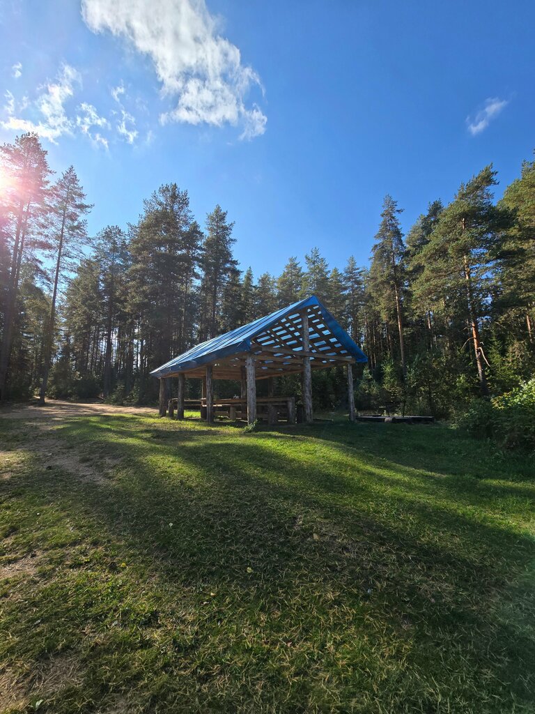Piknik alanı Место для пикника, Saint‑Petersburg ve Leningradskaya oblastı, foto