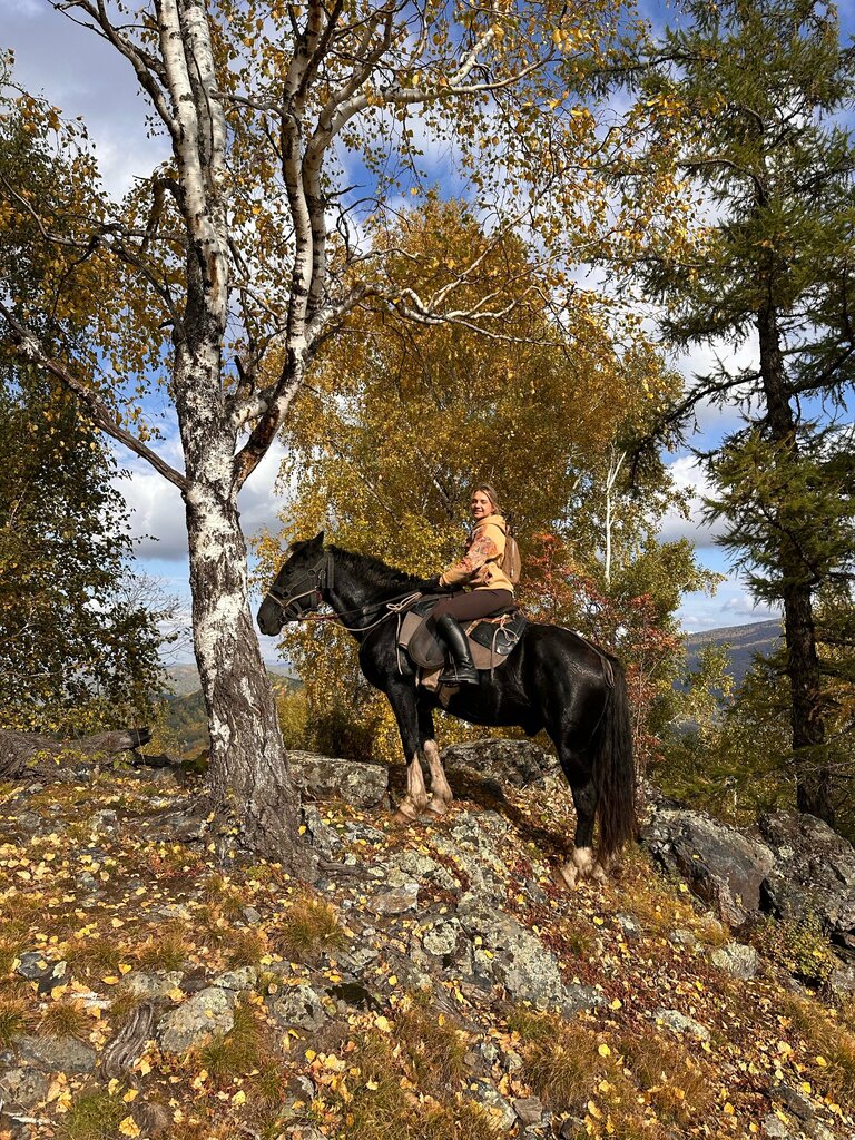 At ve binicilik kulüpleri Конный клуб, Altay Cumhuriyeti, foto