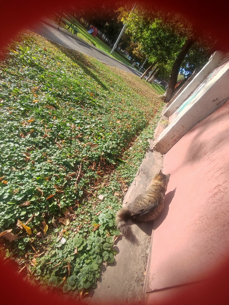 Oyun alanı Playground, Riazan, foto