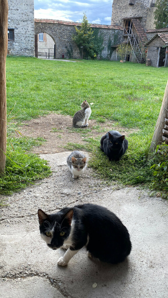 Turistik yerler Старая крепость, Leningor Bölgesi, foto