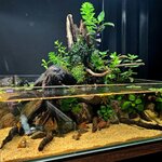 Tiendita Dragontech (Distrital San Martin de Porres, Jirón Pinar del Rio, 2216), akvaryumlar  Lima'dan