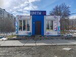 Magazin tsvetov (Novosibirsk, Kalininskiy City Administrative District, mikrorayon Rodniki, ulitsa Zemnukhova), çiçekçiler  Novosibirsk'ten