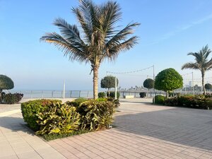 Al Marjan Island (Al Marjan Island, Sector 6, Ras Al Khaimah), doğa  Resül‑Hayme'den