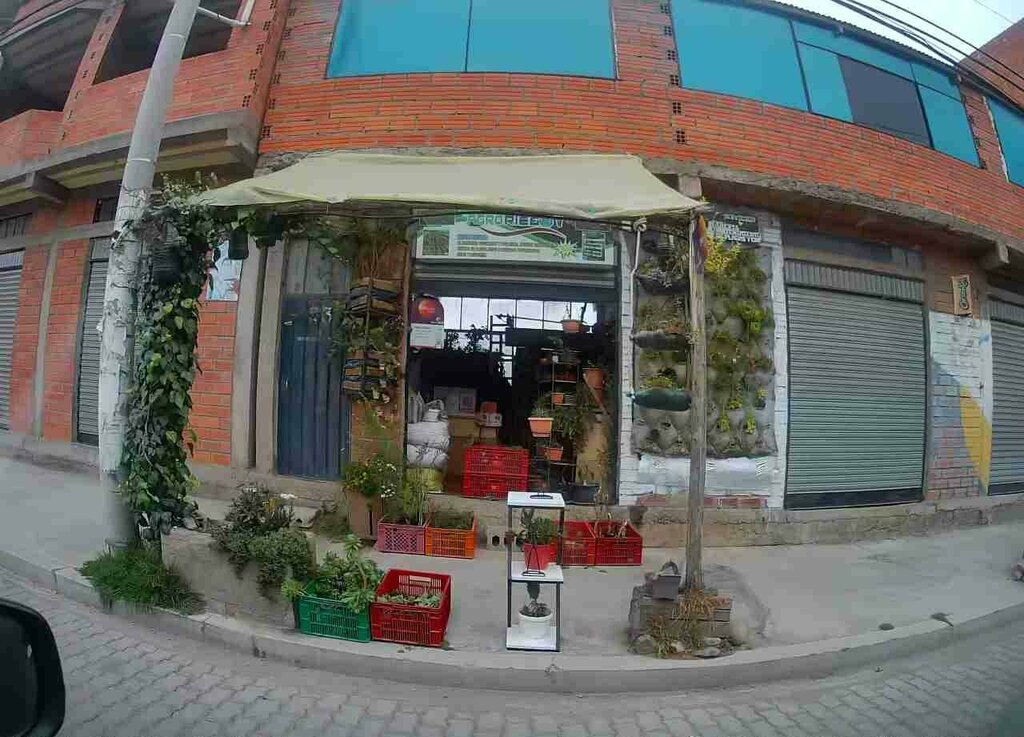 Bahçecilik mağazaları Agroriego V, El Alto, foto