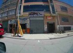 Muelleria Danley (Department of La Paz, Provincia Murillo, El Alto, San Jose de Yunguyo), oto döşeme  El Alto'dan
