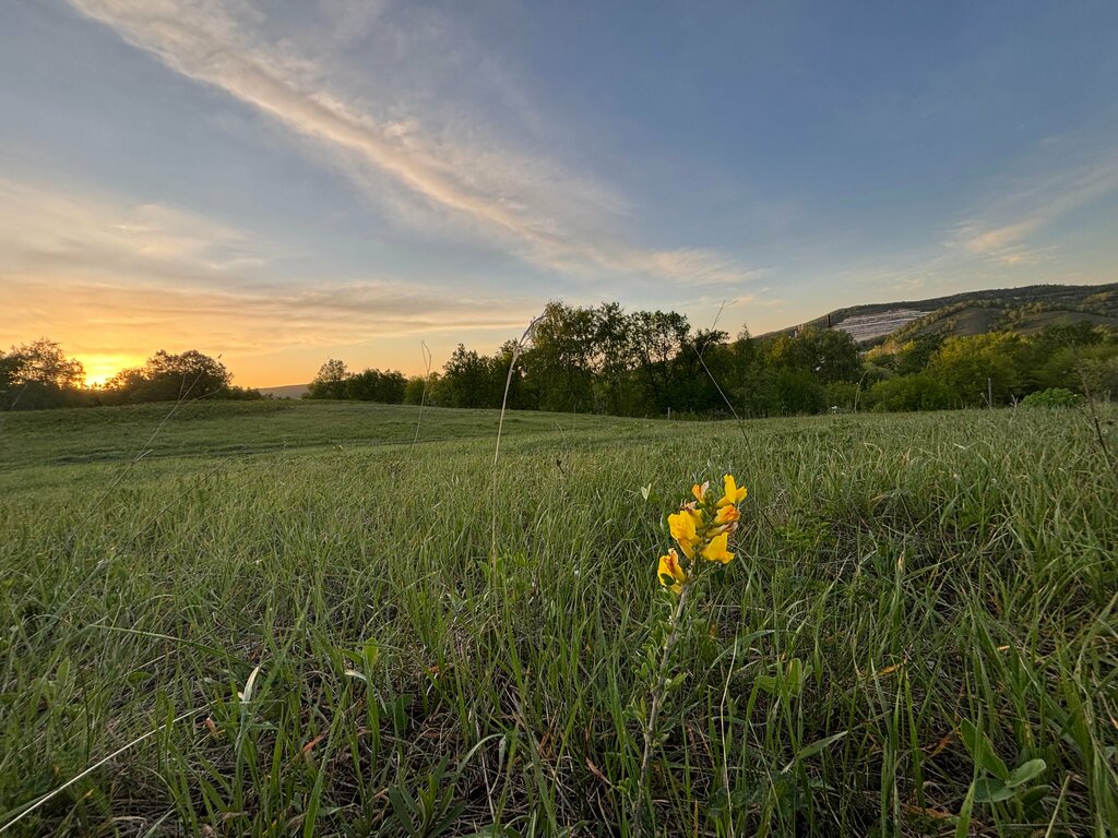 Seyir terası Смотровая площадка, Jiguliovsk, foto