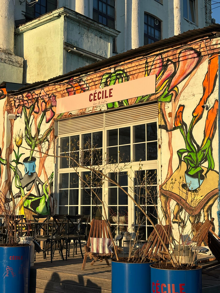 Bar Cécile, Saint‑Petersburg, foto