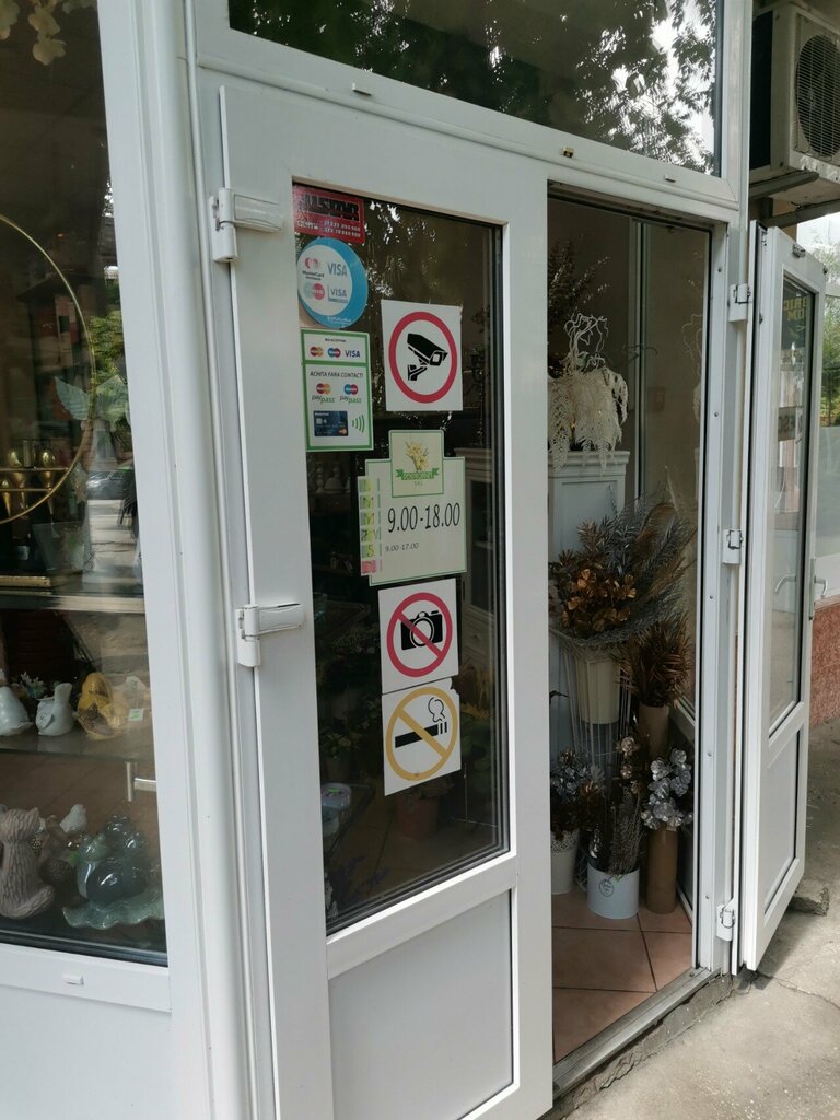 Ev eşyası mağazaları Dendrobium, Kişinev, foto