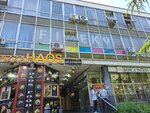 Fimek (Nemanjina Street No:4), üniversiteler  Belgrad'dan