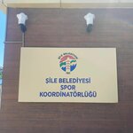 Şile Belediyesi Spor Koordinatörlüğü (İstanbul, Şile, Liman Sok., 32B), spor kurumları  Şile'den