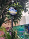 Car wash florida nueva parqueadero (Antioquia, Municipio de Medellín, Laureles Estadio, Barrio de Naranjal, Carrera 68A, 46A-60), oto yıkama  Medellin'den