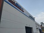 Chevy Express (Valle del Cauca, Municipio de Santiago de Cali, Avenida 9, 14N50), otomobil satış galerileri  Cali'den
