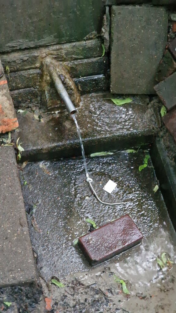 Pınar, çay Spring, stream, Moskova, foto