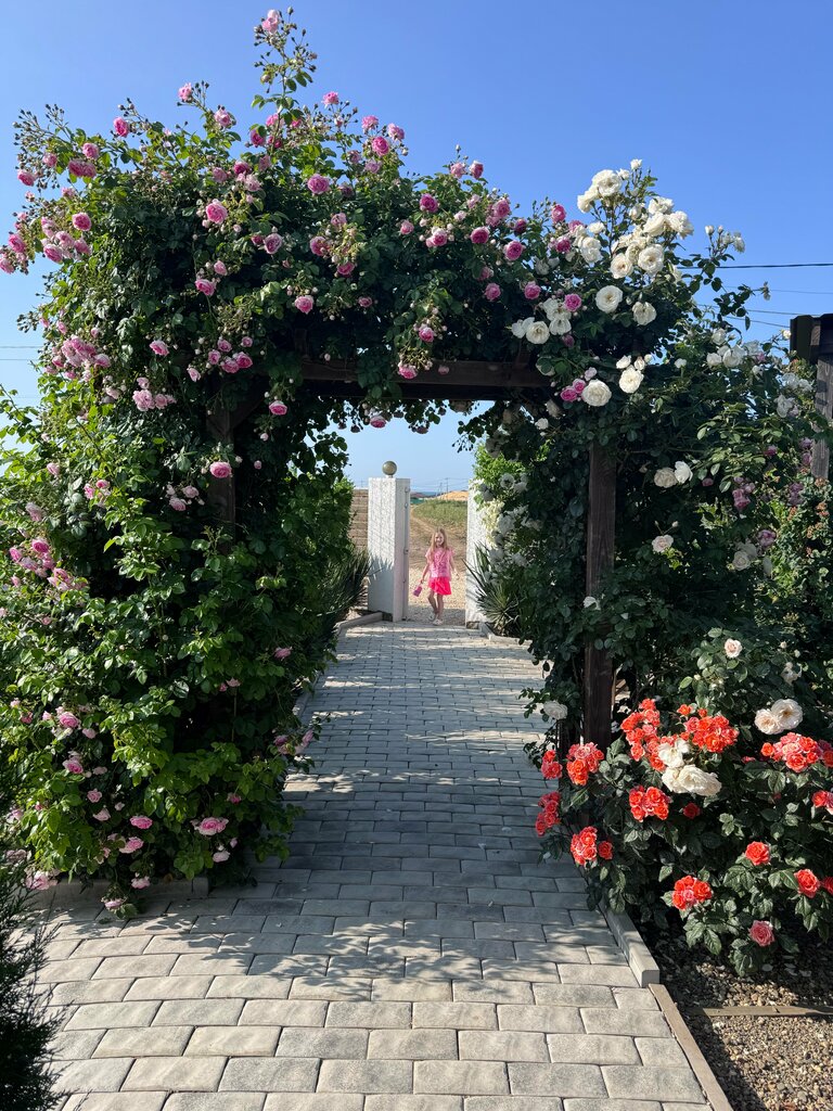 Otel Гранд Камелия, Krasnodarski krayı, foto