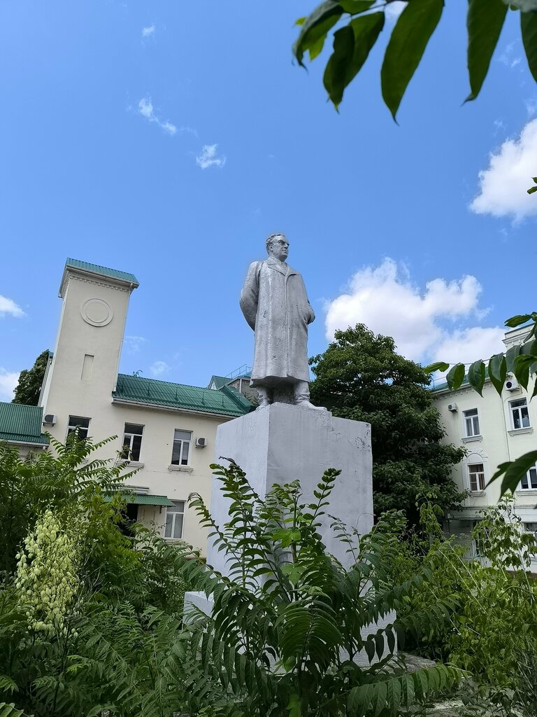 Anıt, heykel В.В. Куйбышев, Krasnodar, foto