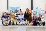 Тим Прайд (1-y Sovetskiy prospekt No:46), evcil hayvan yetiştiricileri  Otradnoe'den