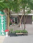 Цветы (Qacaq Nеbi Street No:88A), çiçekçiler  Bakü'den