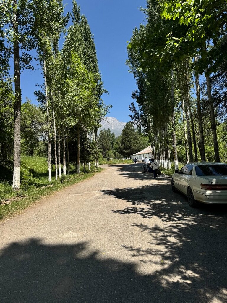 Kamp alanları Отдых в юртах, Oş İli, foto