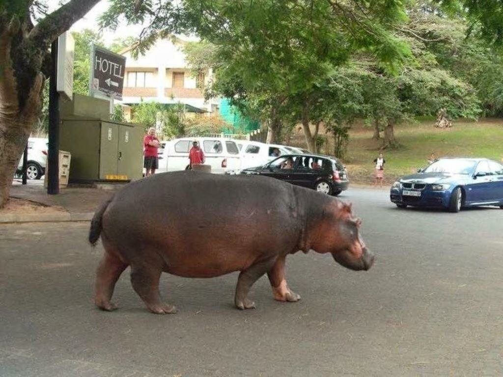 Otel Little Eden St Lucia, Dünya, foto