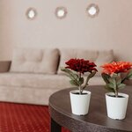 Apartamenti na ulice Shkolnaya 36 (Shkolnaya ulitsa No:36/1), kısa süreli konaklama  Goriaçi Kliuç'tan