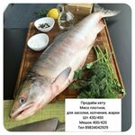 Море рыбы (ulitsa Generala Dovatora No:21Б), balık ve deniz ürünleri  Irkutsk'tan