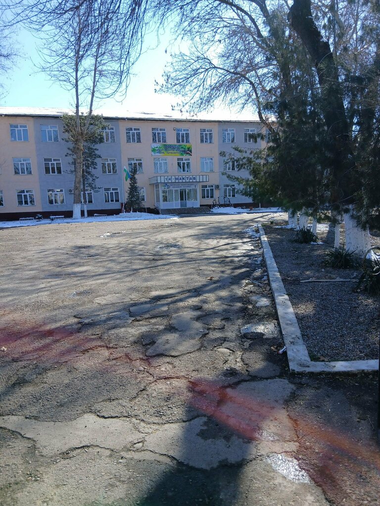 Ortaokul General Education School No. 14, Taşkent eyaleti, foto