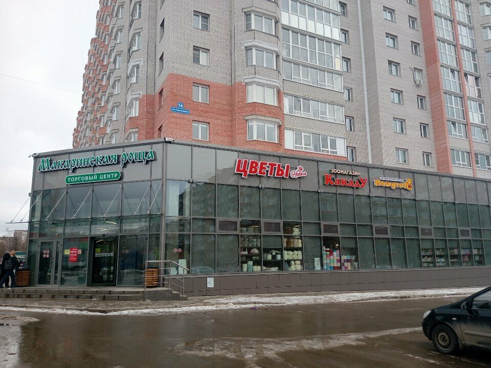 Çiçekçiler Nikol, Cherepovets, foto