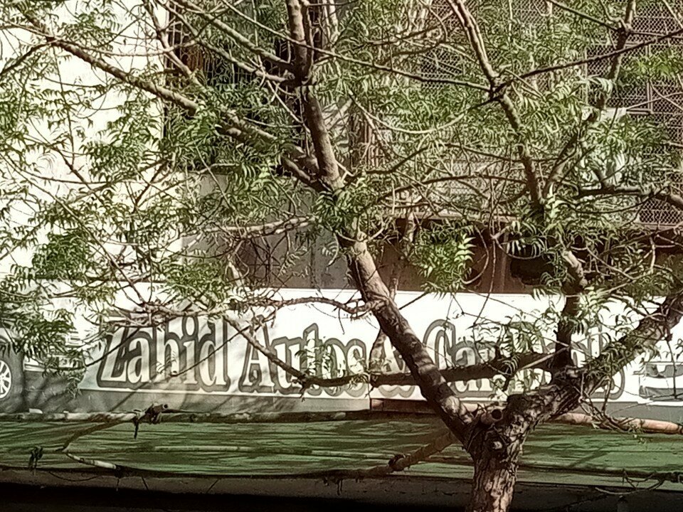 Otomobil satış galerileri Zahid autos, Karaçi, foto