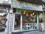 Mimoza Çiçekçilik (İstanbul, Eyüpsultan, Namık Kemal Cad., 47), çiçekçiler  İstanbul'dan