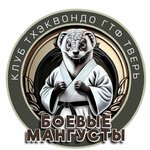 Тхэквондо ГТФ Тверской области (Burashevskoe Highway No:36), spor kulüpleri  Tver'den