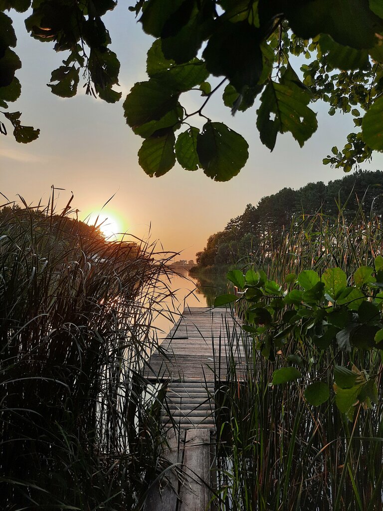 i̇skele Jetty , Voronej, foto