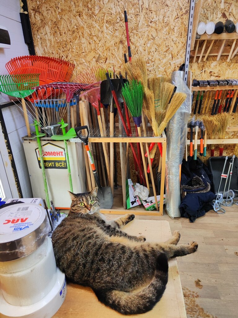 i̇nşaat gereçleri Instrumenty u Koshki, Balaşiha, foto