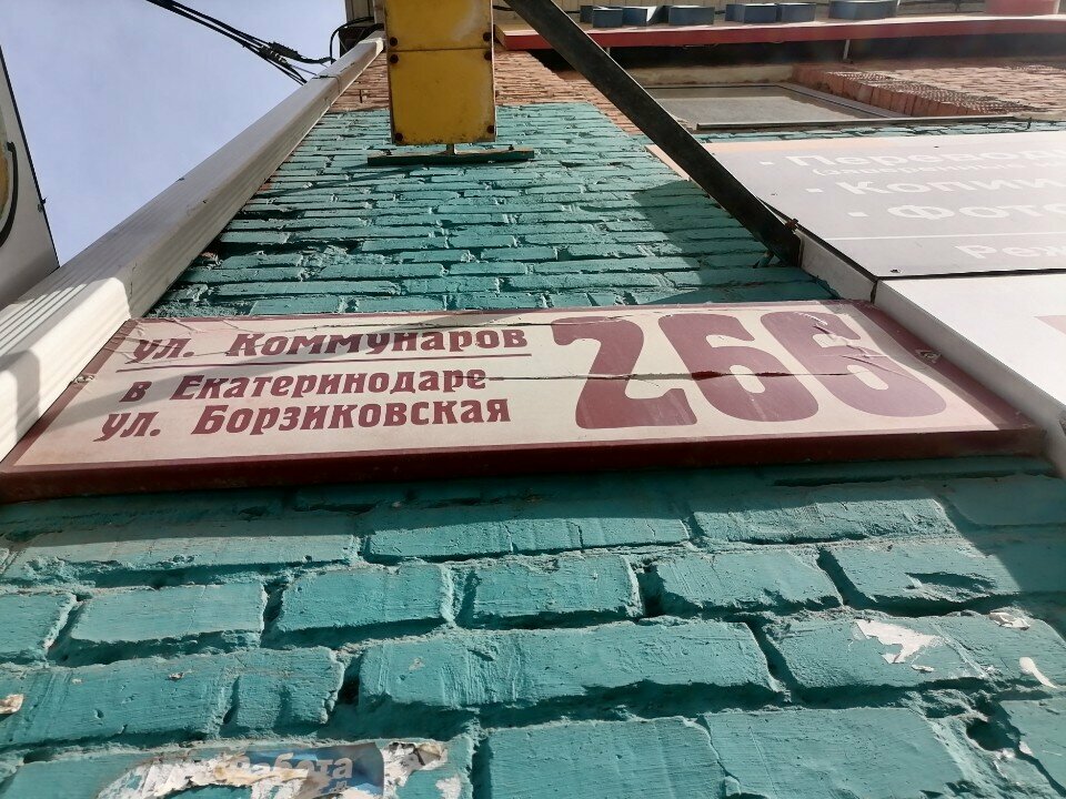 i̇nternet pazarlama şirketi WebServisOnline, Krasnodar, foto
