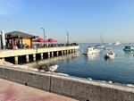 Tuzla Sahil (-), festival  Dünya'dan