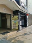 Mayer Peru (Distrital Lince, Avenida José Leal, 245), giyim mağazası  Lima Bölgesi'nden