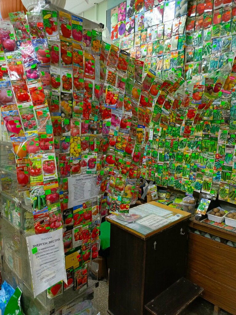 Tohum satan yerler Магазин семян, Samara, foto