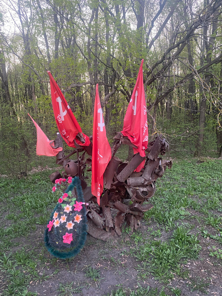 Orman урочище Толстое, Belgorodskaya oblastı, foto