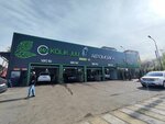 V. Rossi (Rysqulbekov kóshesi No:26, Taugul microdistrict), oto yıkama  Almatı'dan