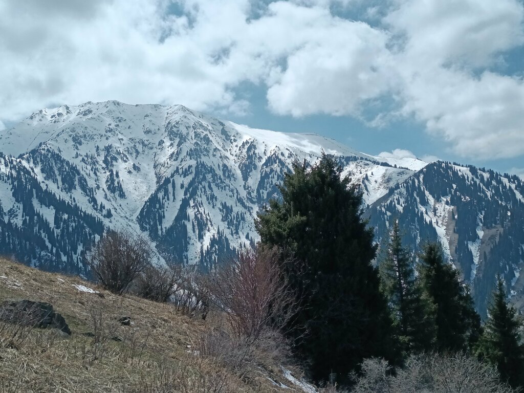 Dağ zirvesi Gora Mokhnataya Sopka, Almatı, foto