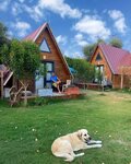 Vega Ahşap Evleri (Muğla, Datça, Mesudiye Mah., Ovabuklu Sok., 15/2), otel  Datça'dan