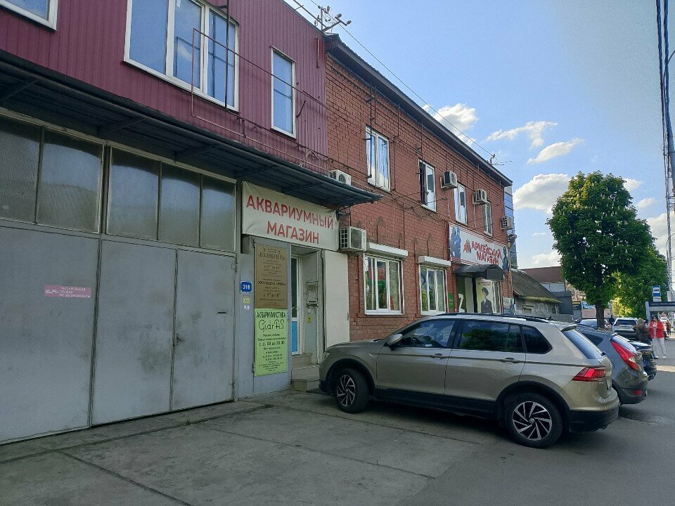 Reklam ajansları Ra Kolibri, Krasnodar, foto