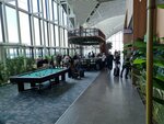 IGA Lounge (İstanbul, Arnavutköy, Tayakadın Mah., Terminal Cad., 1), kafe  Arnavutköy'den