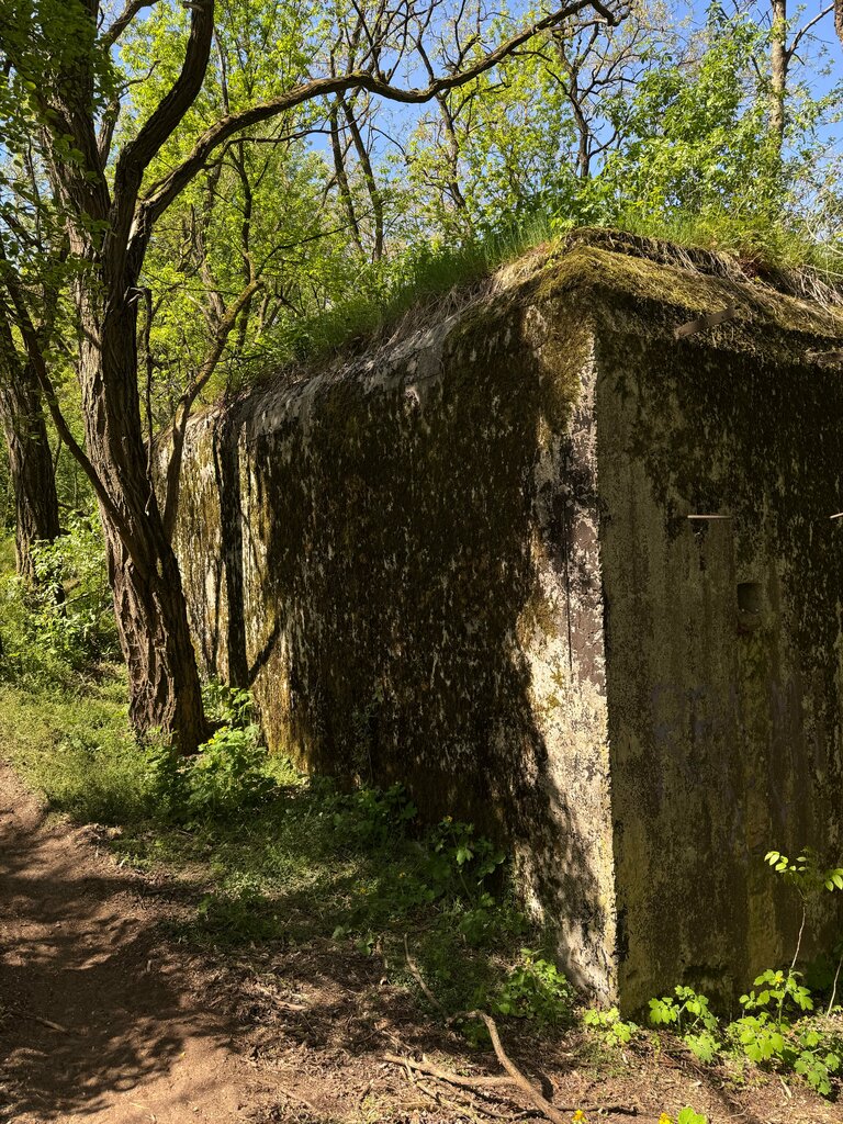 Turistik yerler Артиллерийский дот № 562, Brest, foto