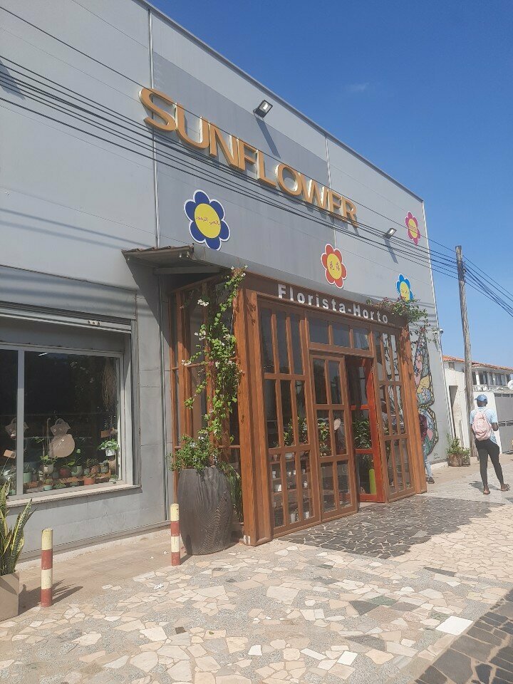 Çiçekçiler Sunflower, Loanda, foto