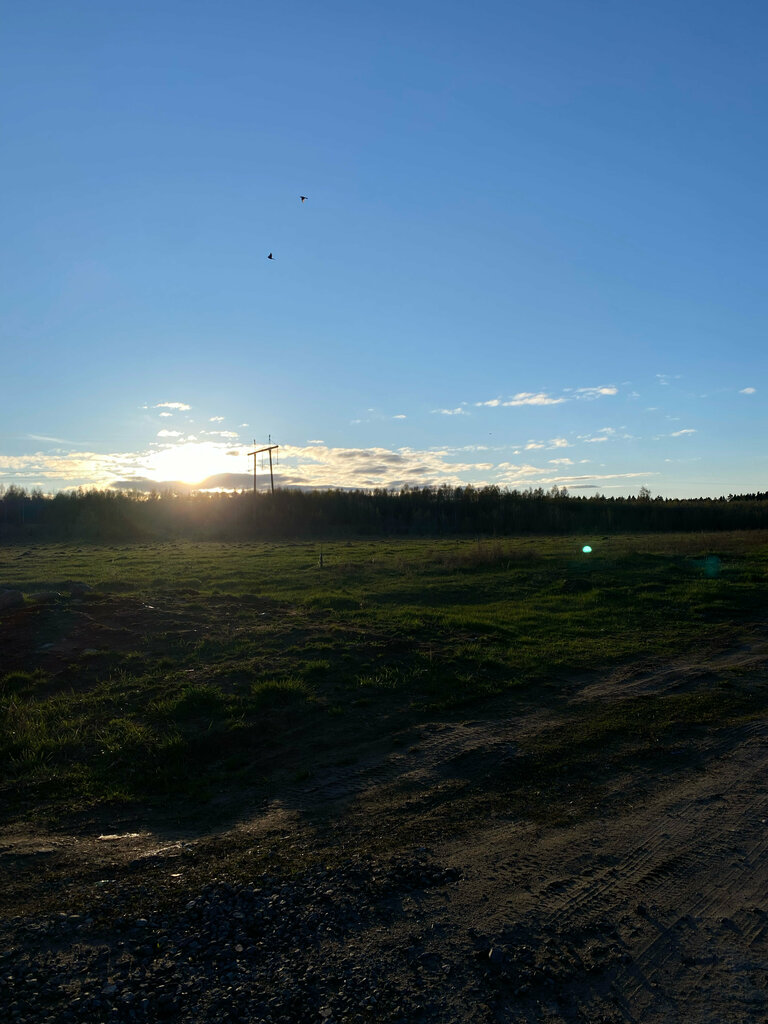 Çöp alanları Trash and garbage disposal area, Yaroslavskaya oblastı, foto