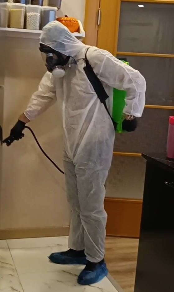 Haşere ilaçlama firmaları Böcek İlaçlama Beylikdüzü, İstanbul, foto