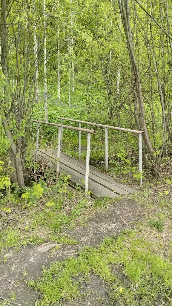 Pınar, çay Spring, stream, Novokuznetsk, foto